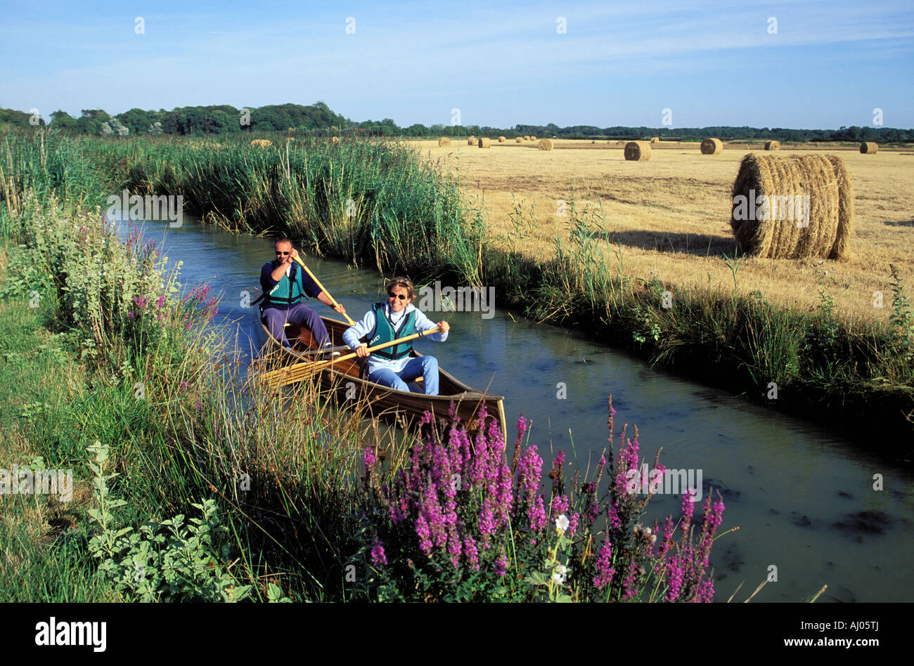 Bois de cene hi-res stock photography and images - Alamy