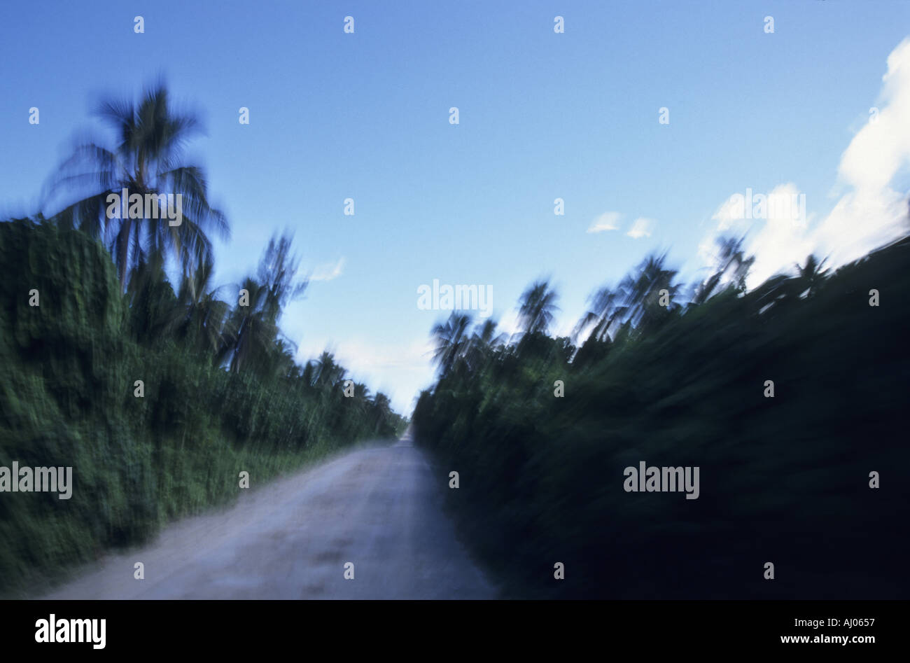 Vanuatu Efate Island Driving On A Dirt Road Among Palm Trees Stock ...