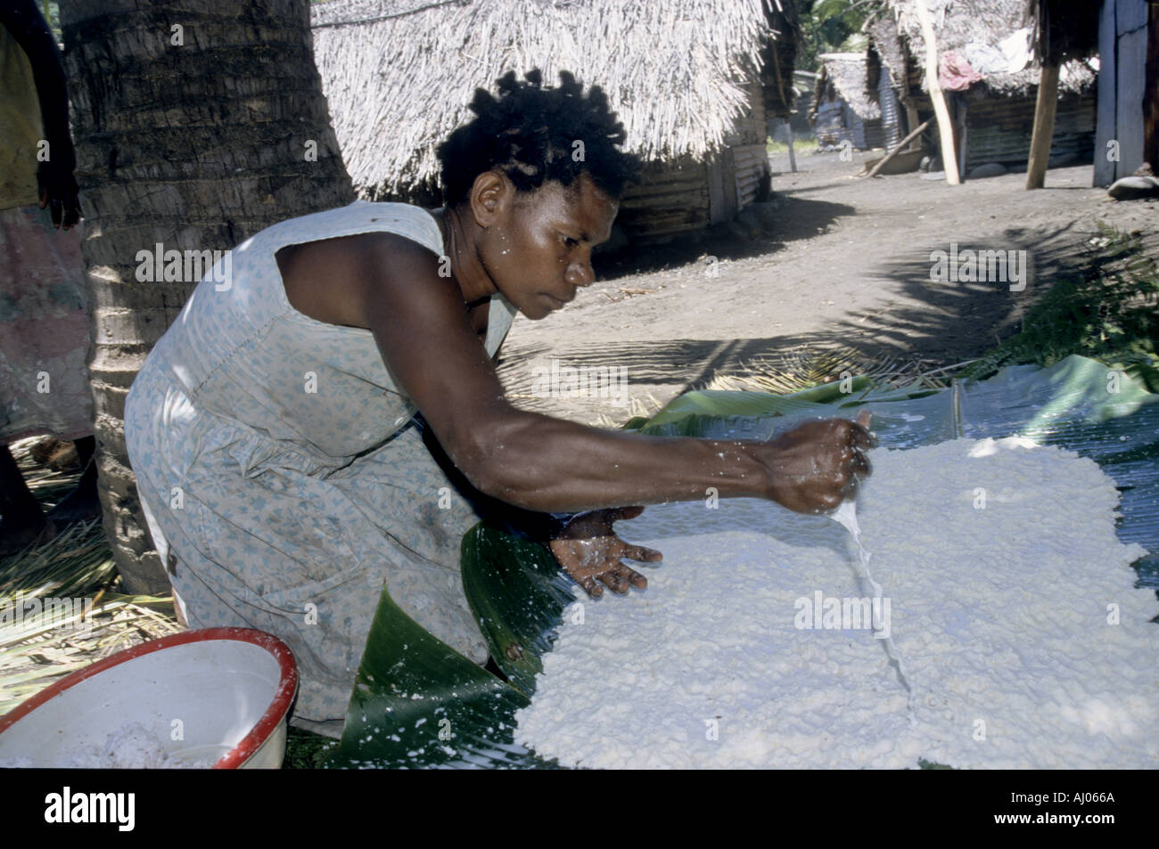 Vanuatu laplap food cooking hi-res stock photography and images - Alamy