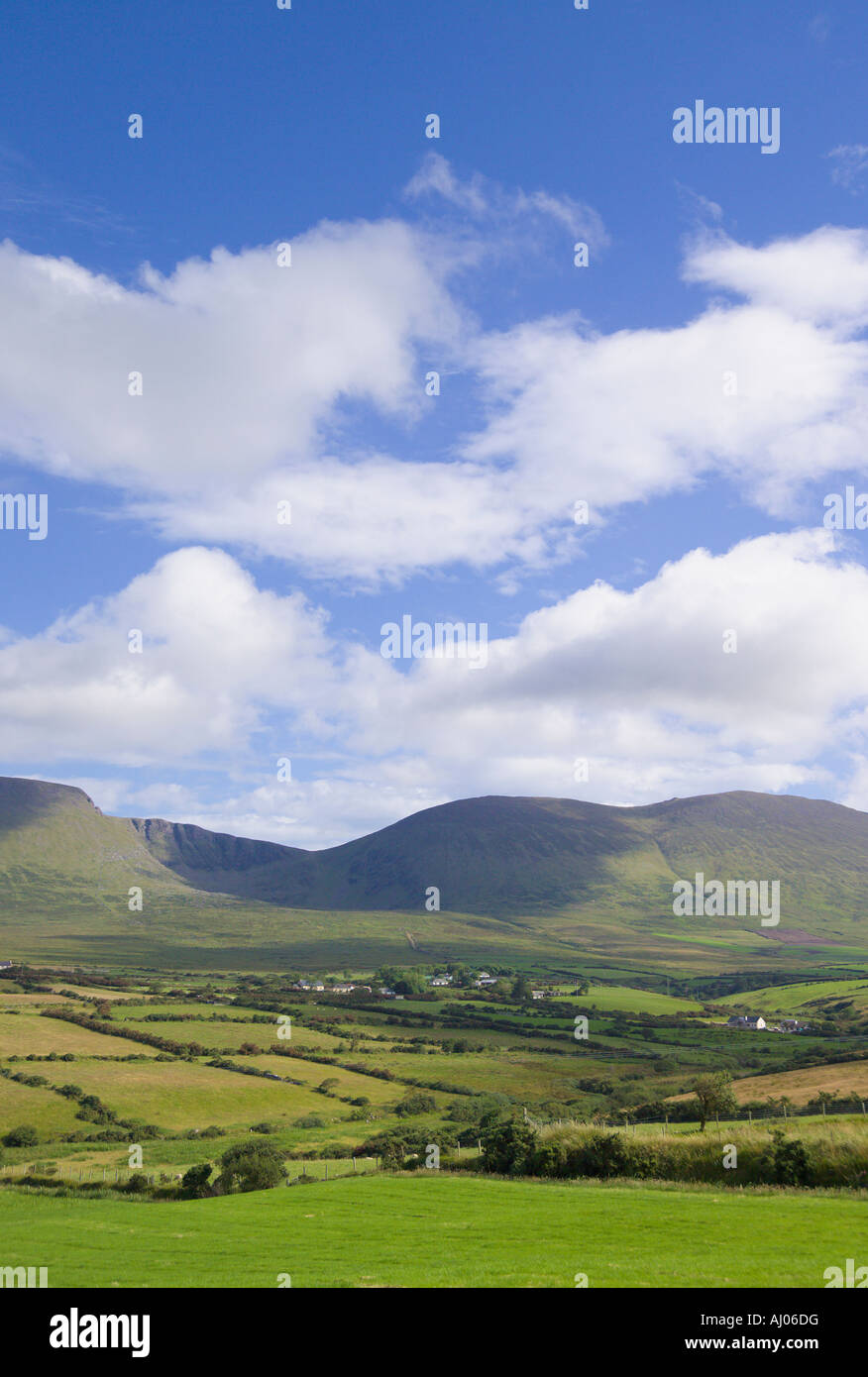 Farmland Lispole Dingle Peninsula County Kerry Ireland Stock Photo - Alamy