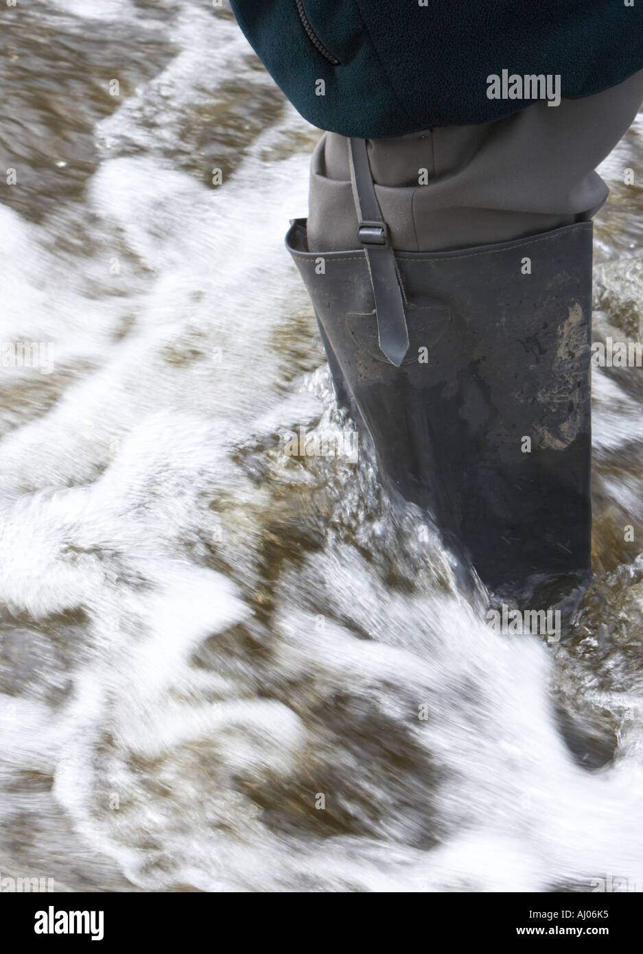 fly fisherman wading in deep water River Yarrow Lancashire UK Stock ...