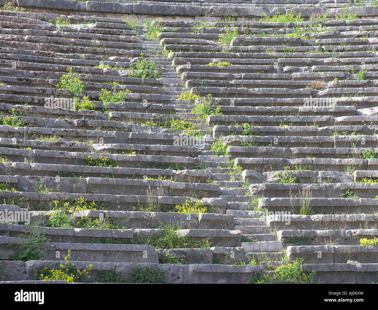 Steps of ancient theatre Delphi Greece Stock Photo - Alamy