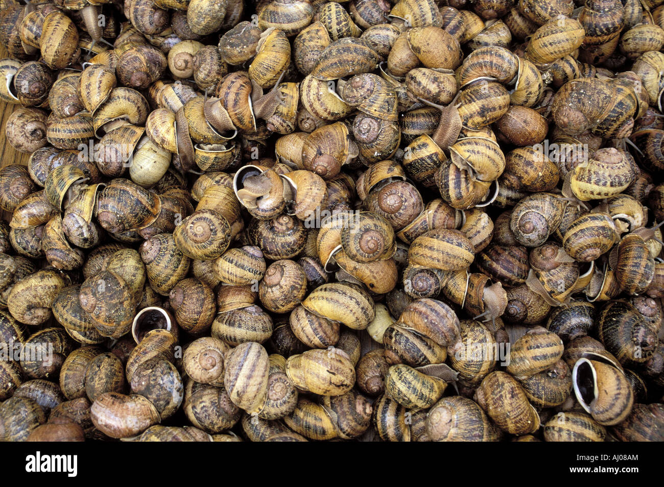 Chalais High Resolution Stock Photography and Images - Alamy