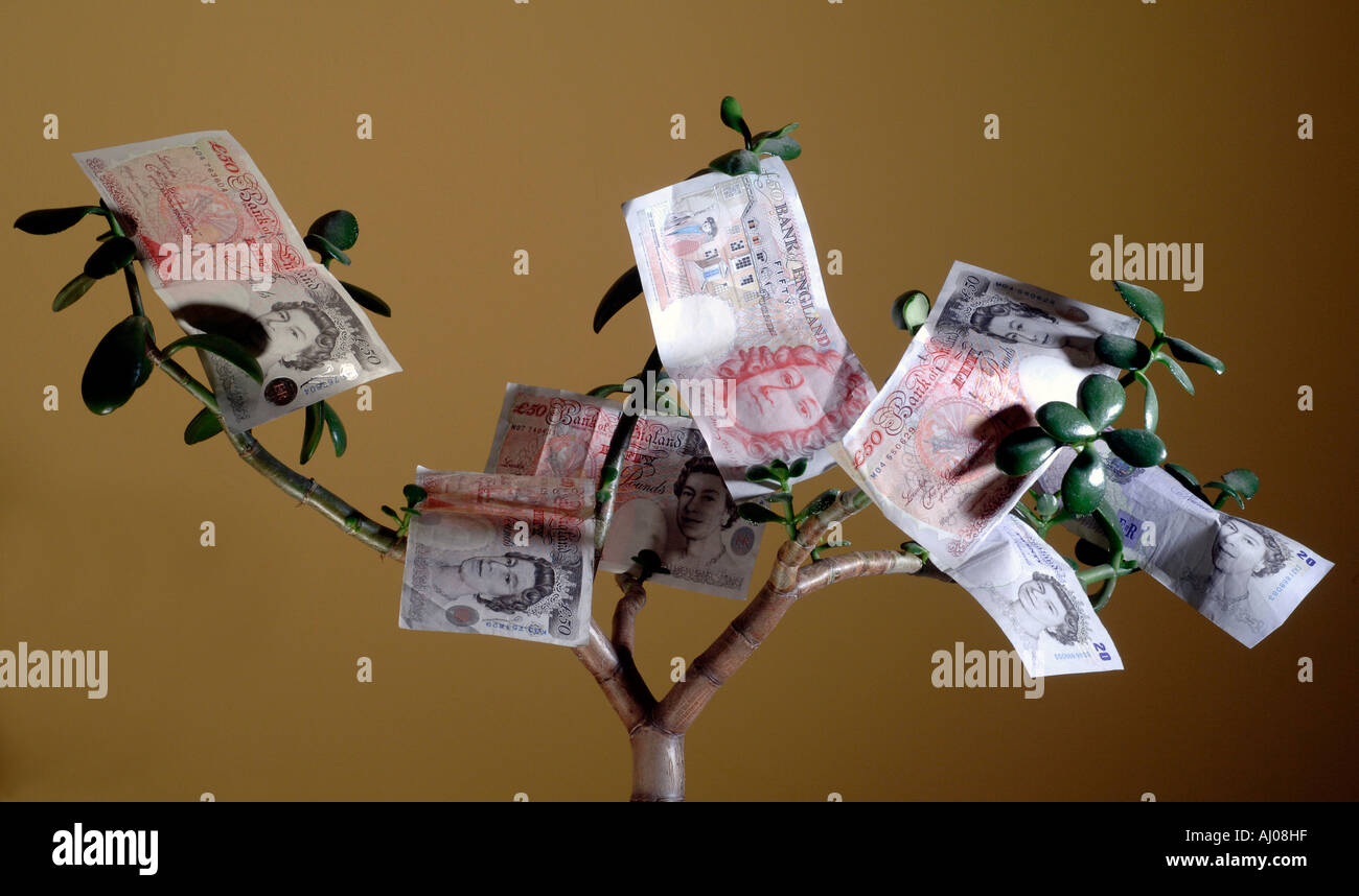 Money Tree Pounds Stock Photos & Money Tree Pounds Stock Images - Alamy