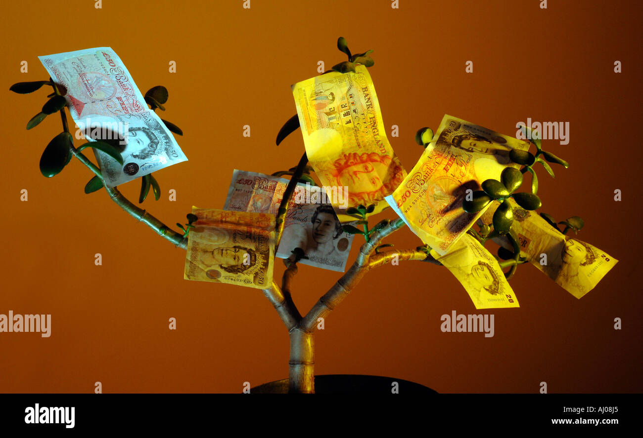 Money tree pounds hi-res stock photography and images - Alamy