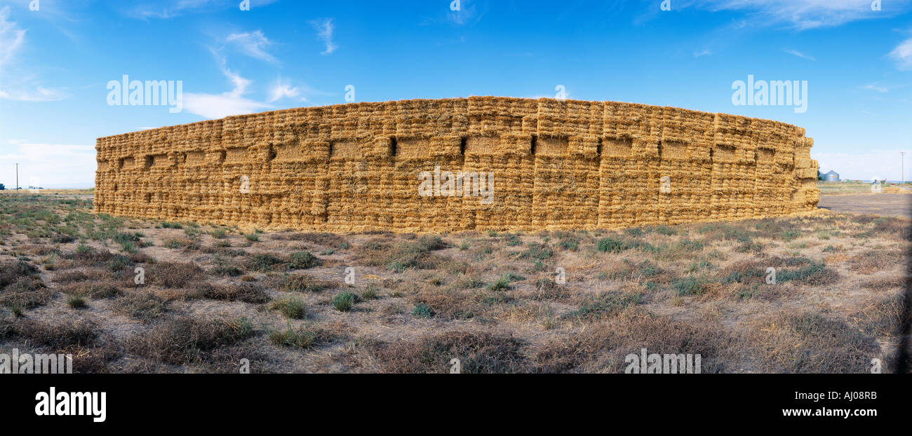 Hay eastern washington hi-res stock photography and images - Alamy