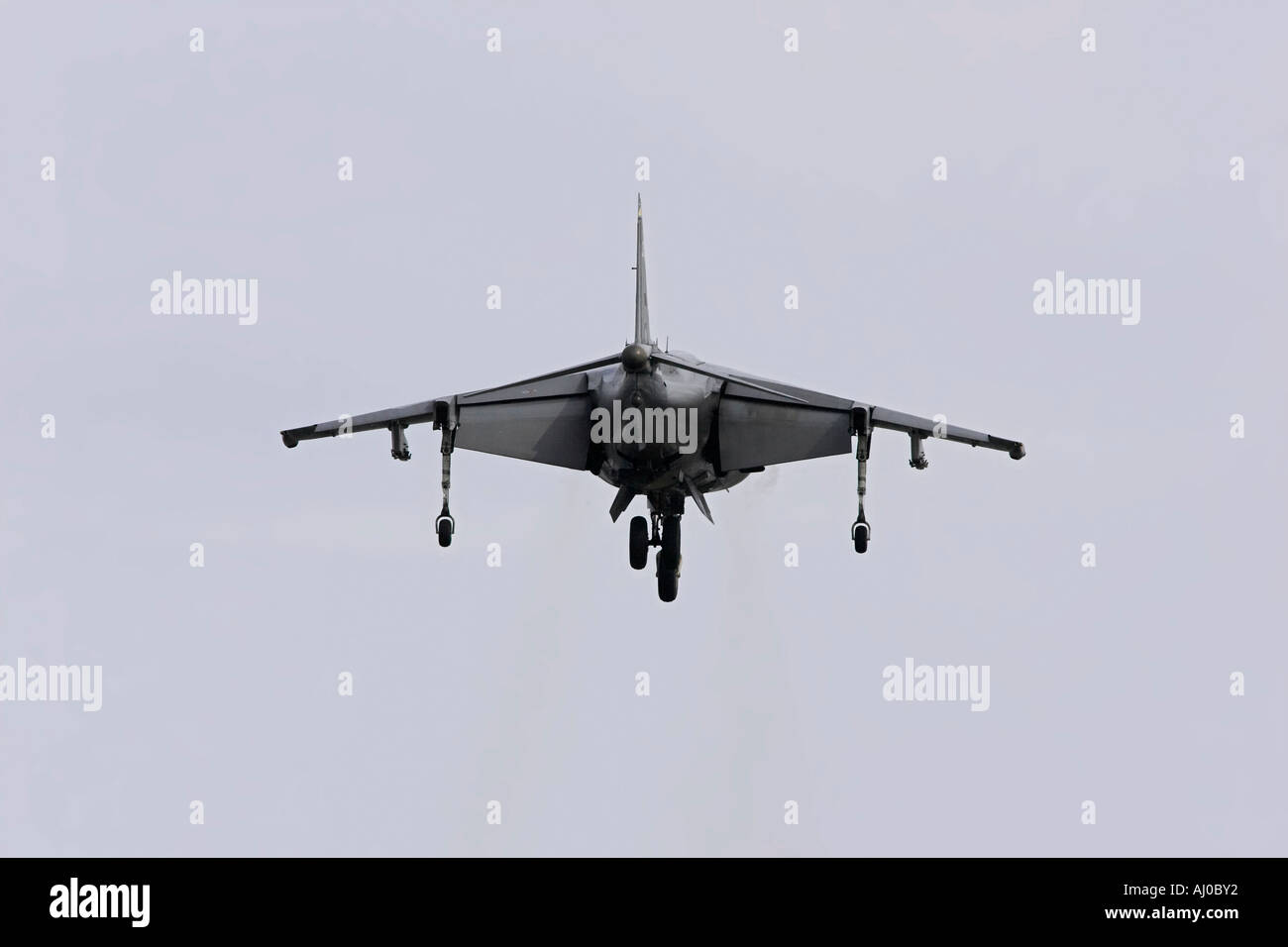 Harrier in the hover Stock Photo - Alamy