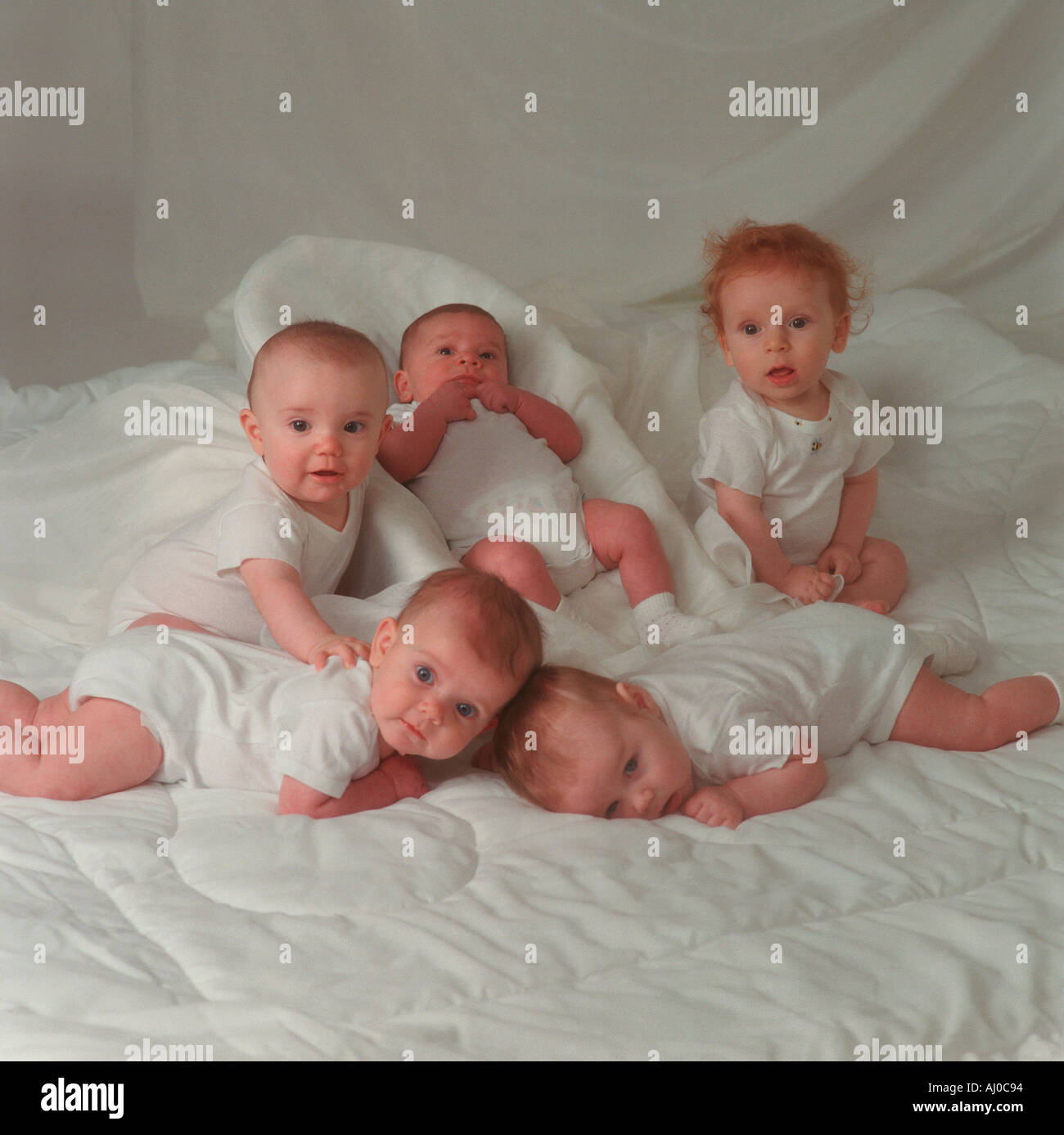 Five babies lying together on blankets in a studio setting Stock Photo ...