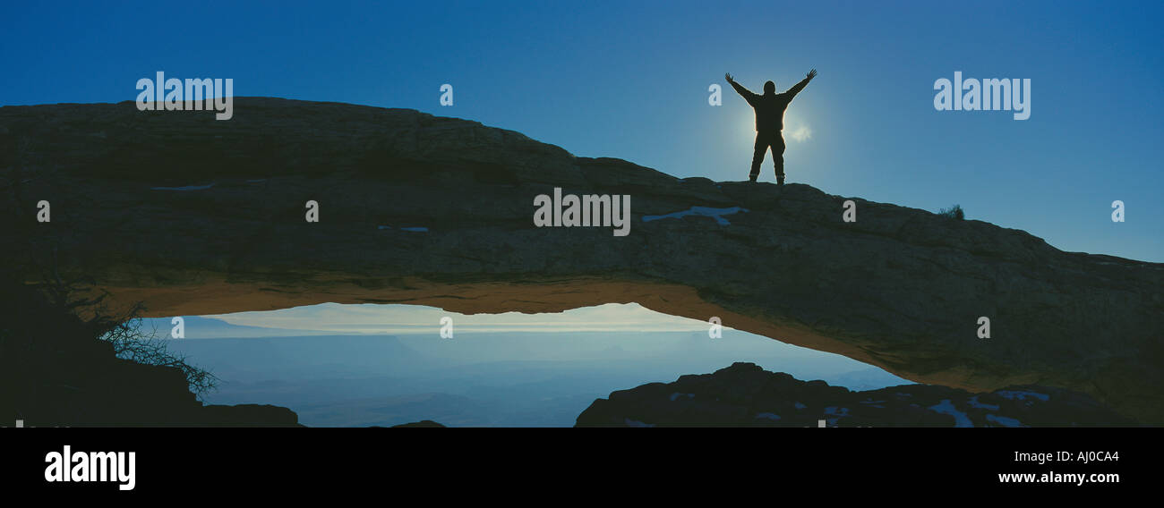 Reaching skyward hi-res stock photography and images - Alamy