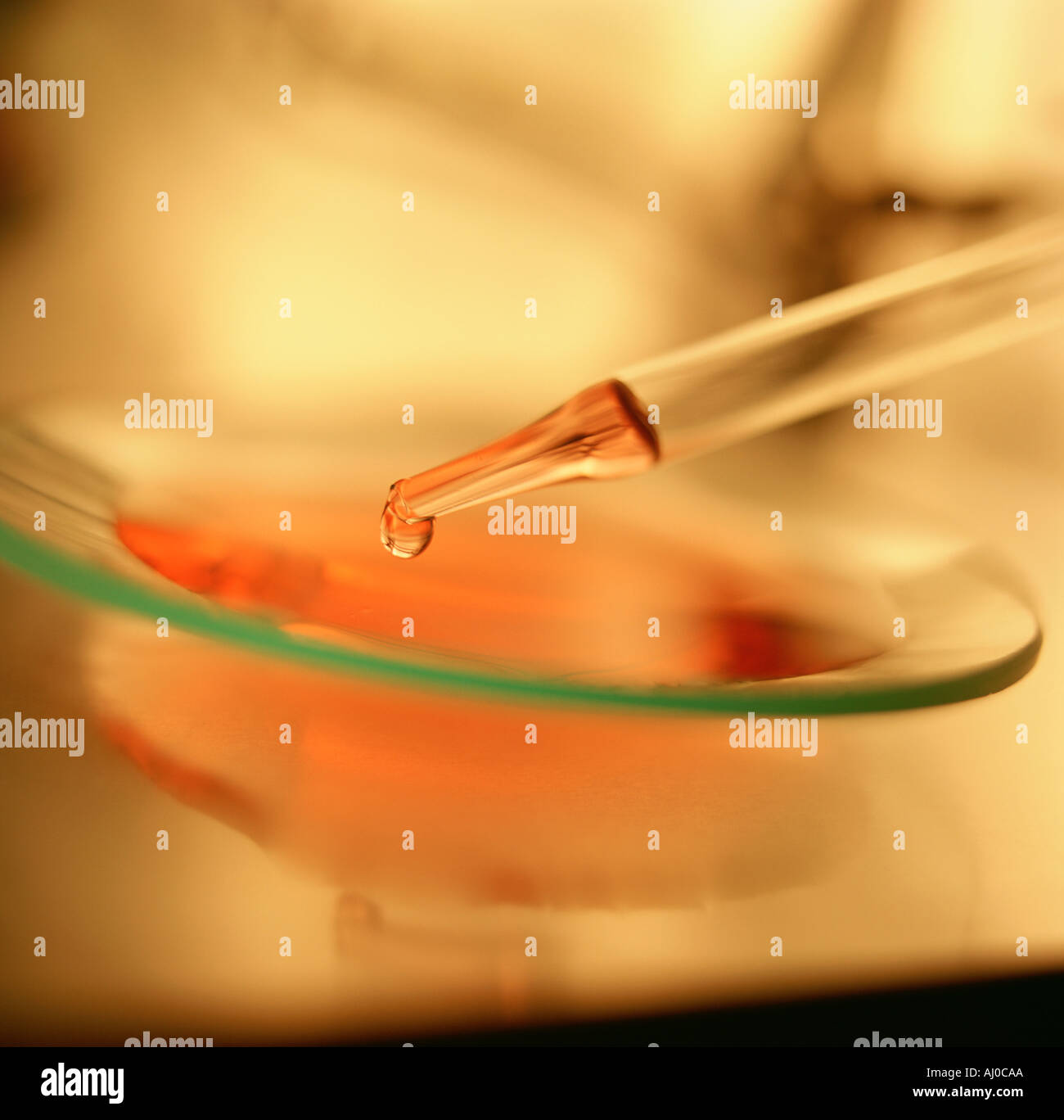 Being squeezed out hi-res stock photography and images - Alamy