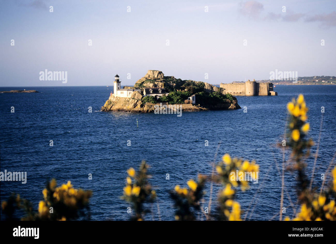 France, Finistere, Carantec, view of the Louë island and bull castle ...