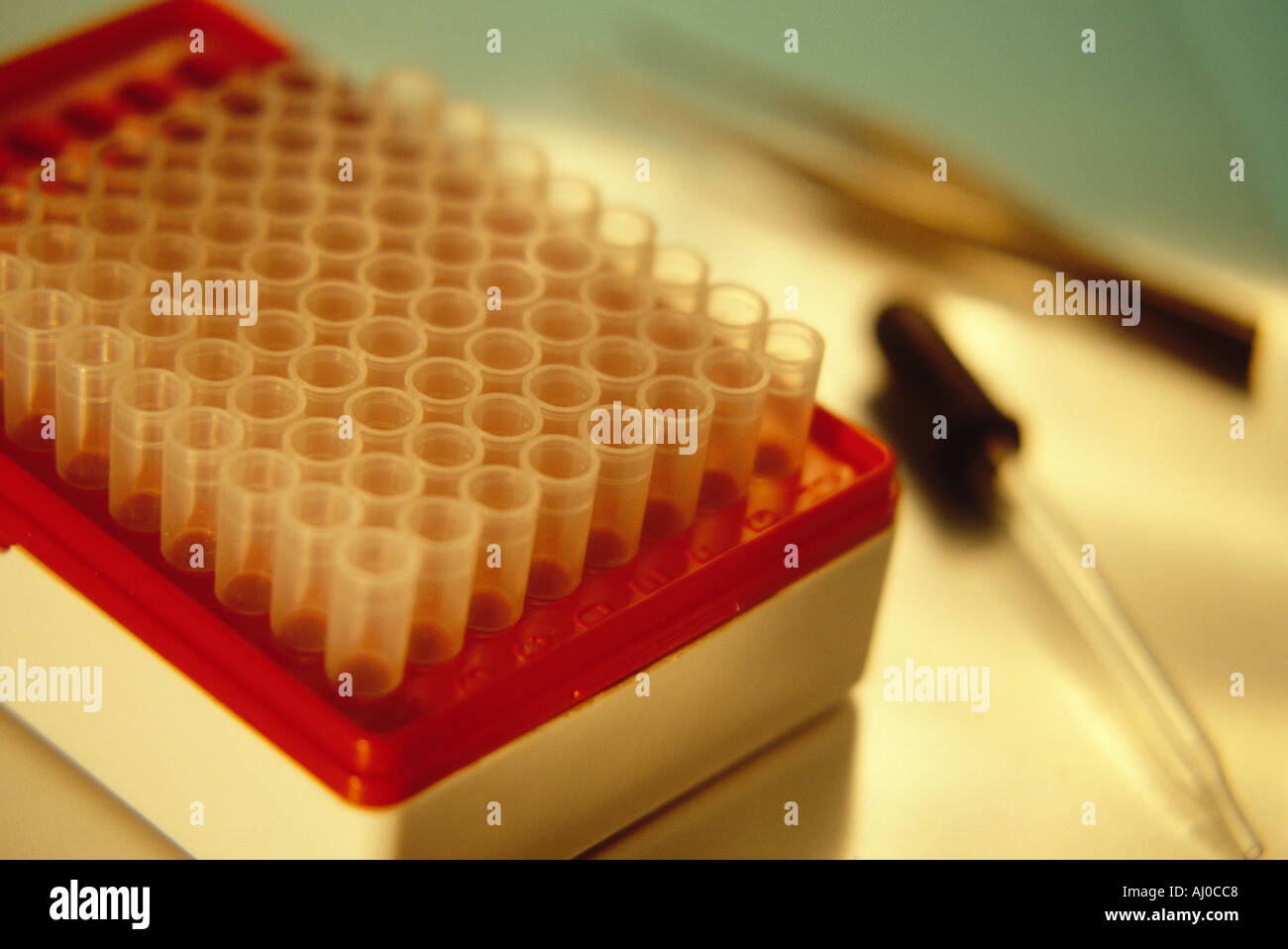 Test Tubes On Plastic Rack High Resolution Stock Photography and Images ...