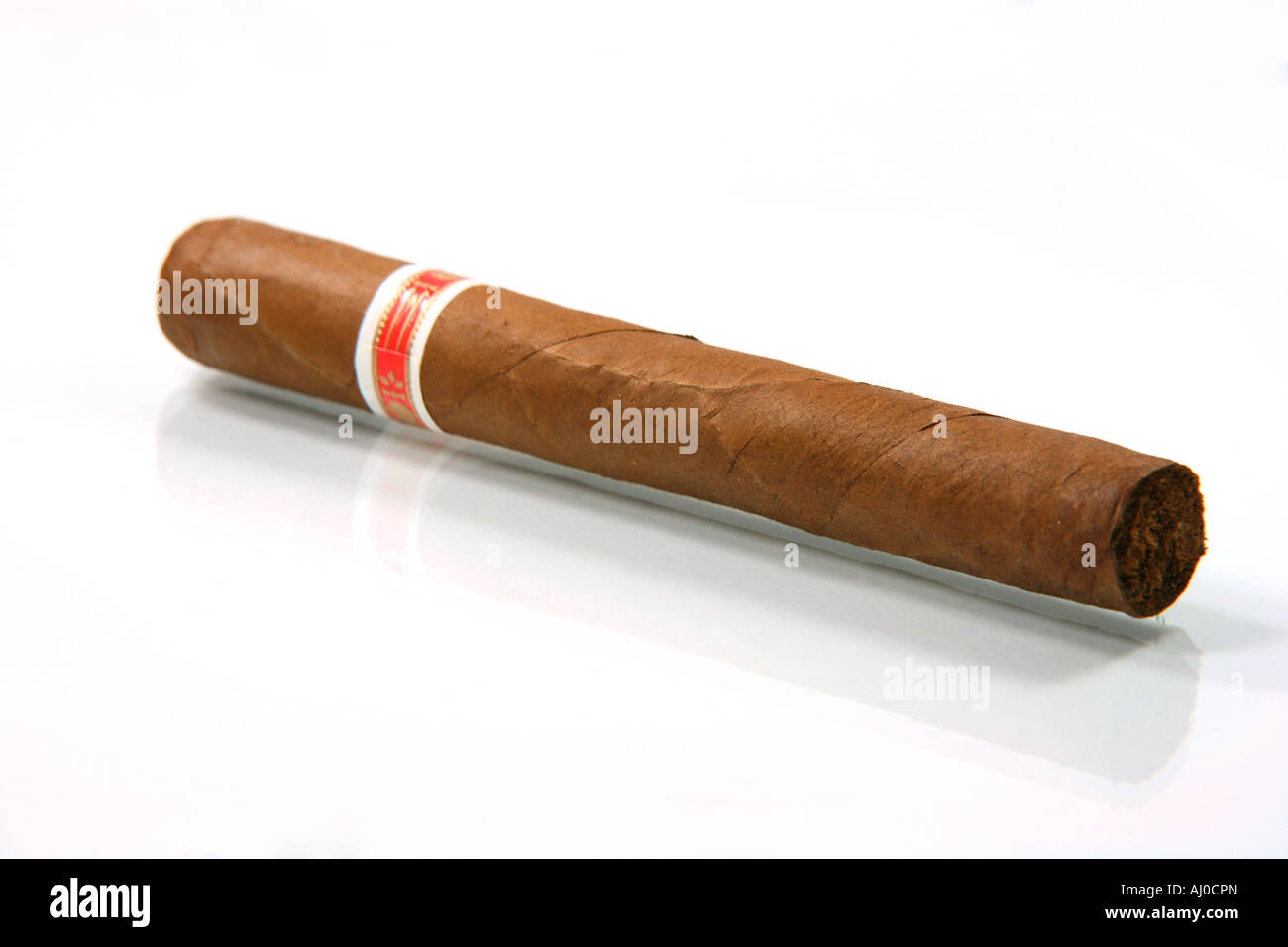 one cuban cigar with reflection in white background prespective Stock ...