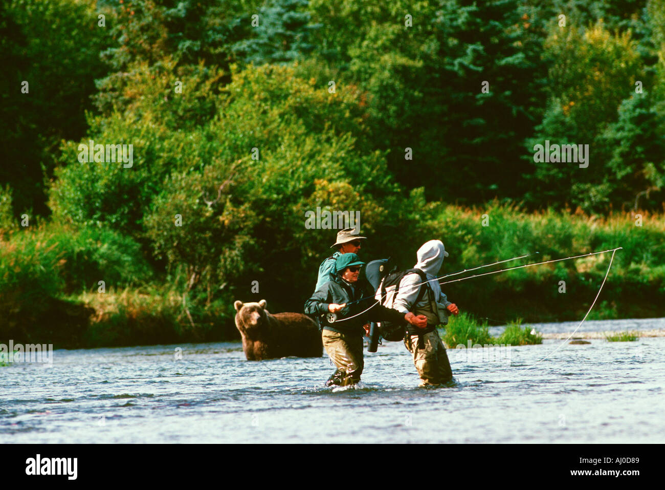 Bear river fly fishing hi-res stock photography and images - Alamy