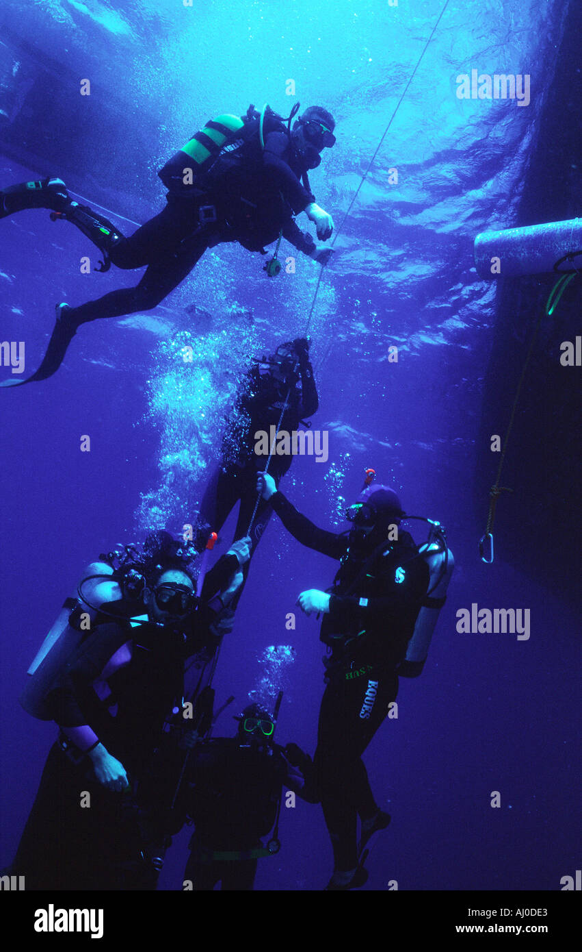 Divers under the water Stock Photo - Alamy
