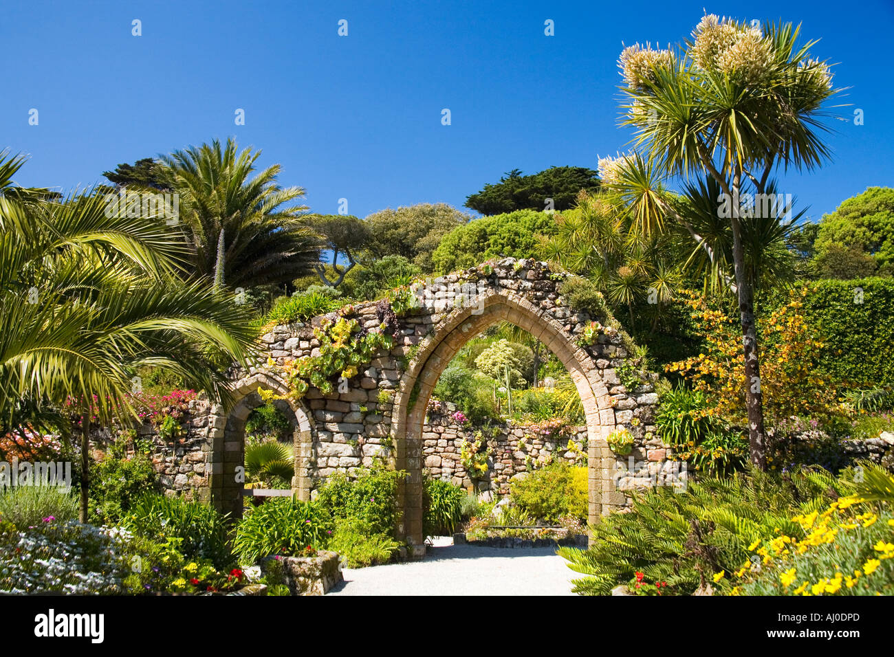 Tresco Abbey Sub Tropical Gardens in summer sunshine Tresco Isles of ...