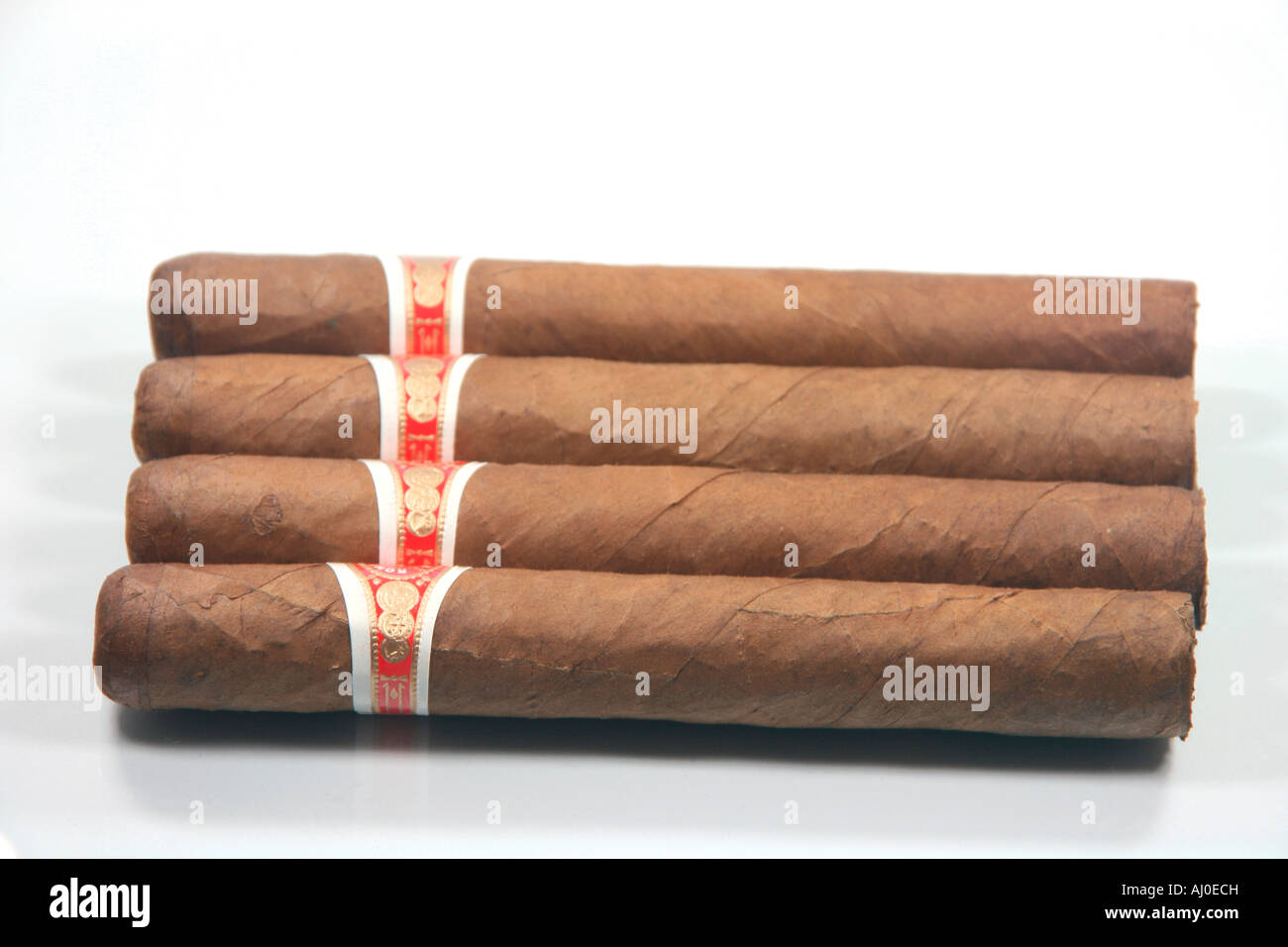 four cuban cigars in white background Stock Photo - Alamy
