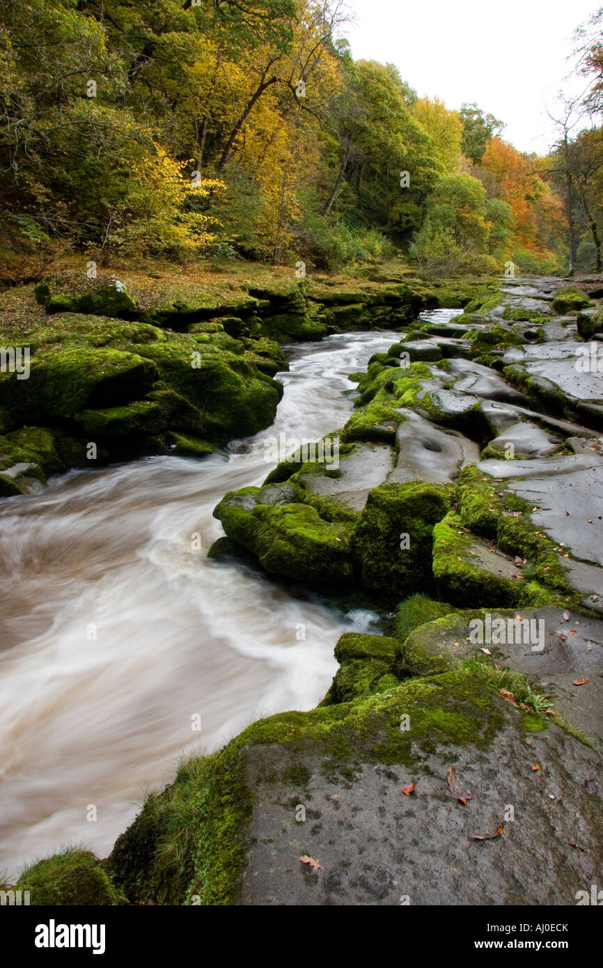 The Strid, a feature of the River Wharfe in North Yorkshire Stock Photo ...