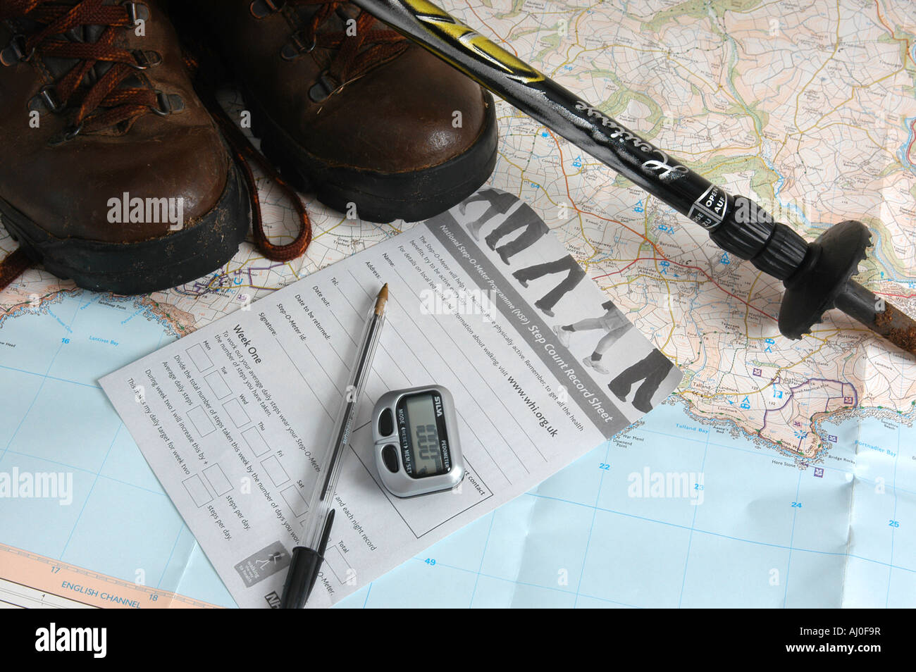 The National Step O Meter Programme NSP leaflet forms and pedometer ...