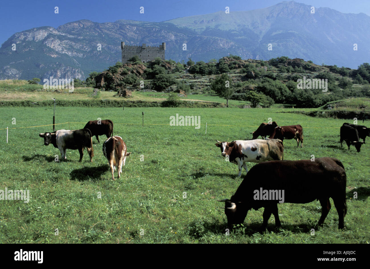 Ussel castle hi-res stock photography and images - Alamy