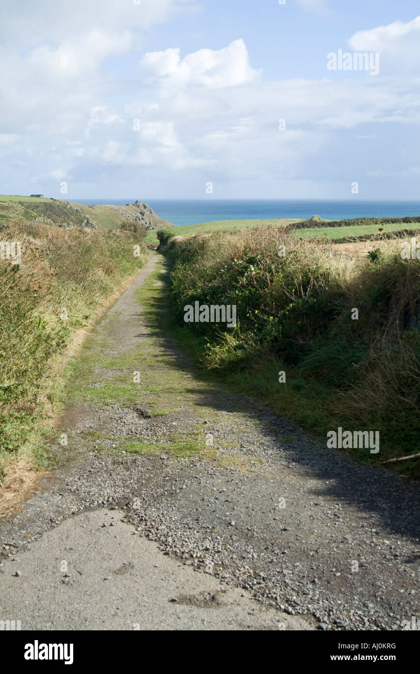 Cornish Country Lane High Resolution Stock Photography and Images - Alamy