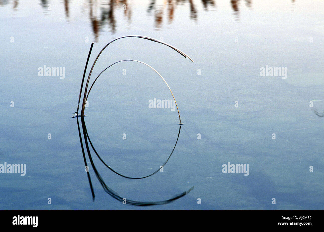 Mace hi-res stock photography and images - Alamy
