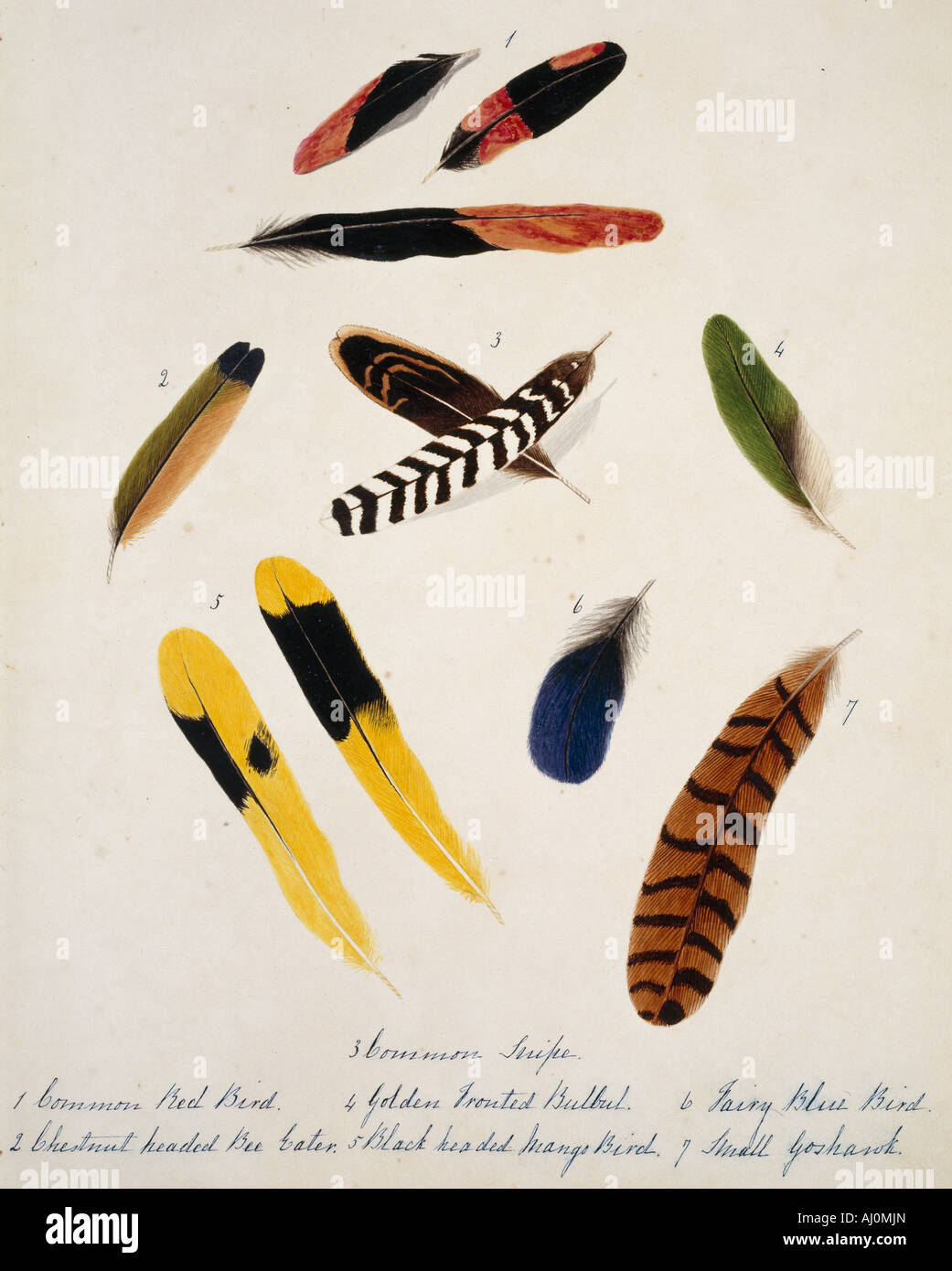 Irena collection hi-res stock photography and images - Alamy