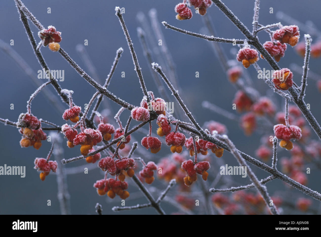 Spindle hi-res stock photography and images - Alamy