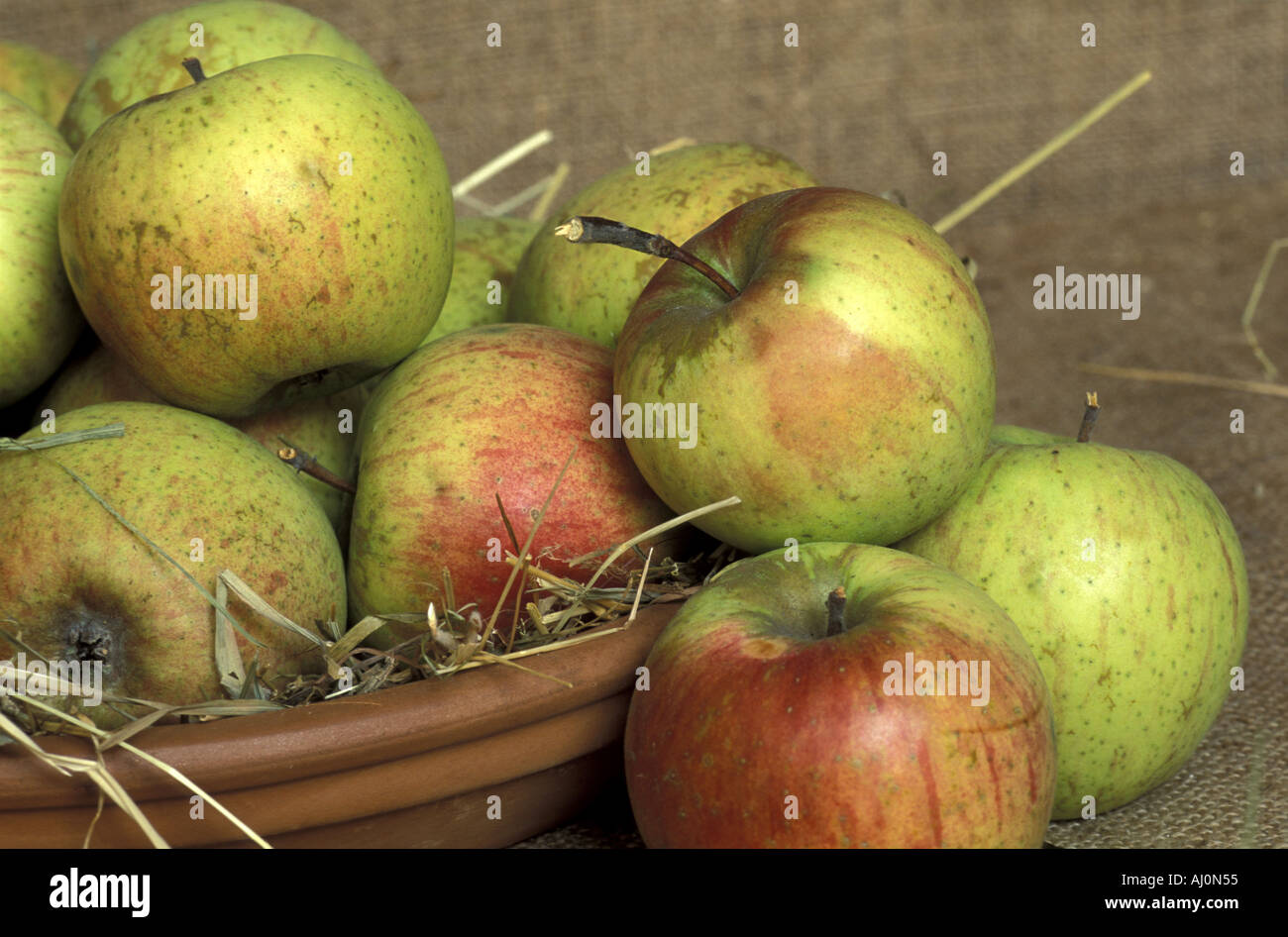 Black Ben Davis apples Italy Stock Photo - Alamy