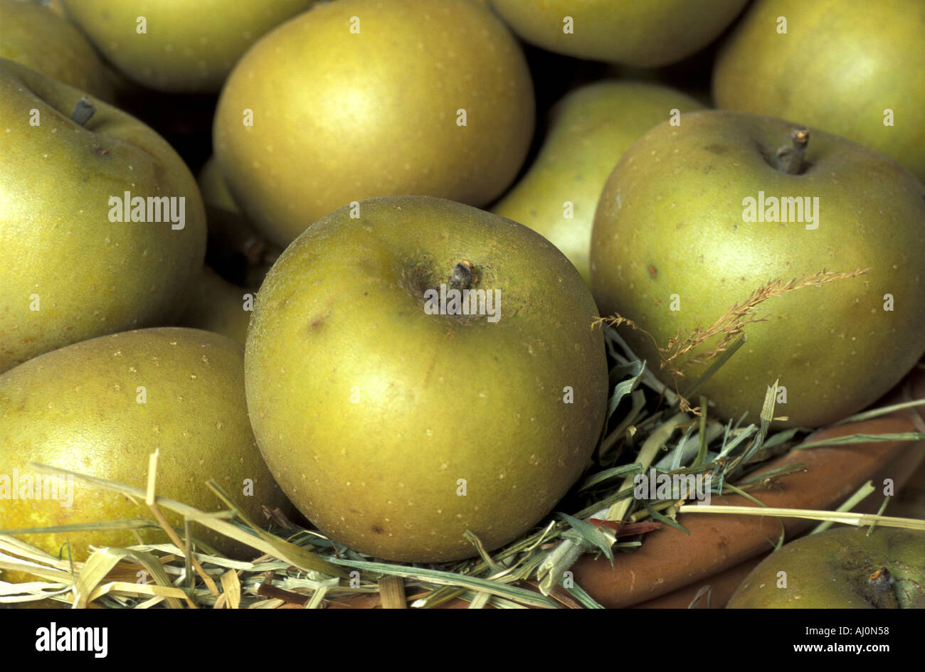 Renetta apples hi-res stock photography and images - Alamy