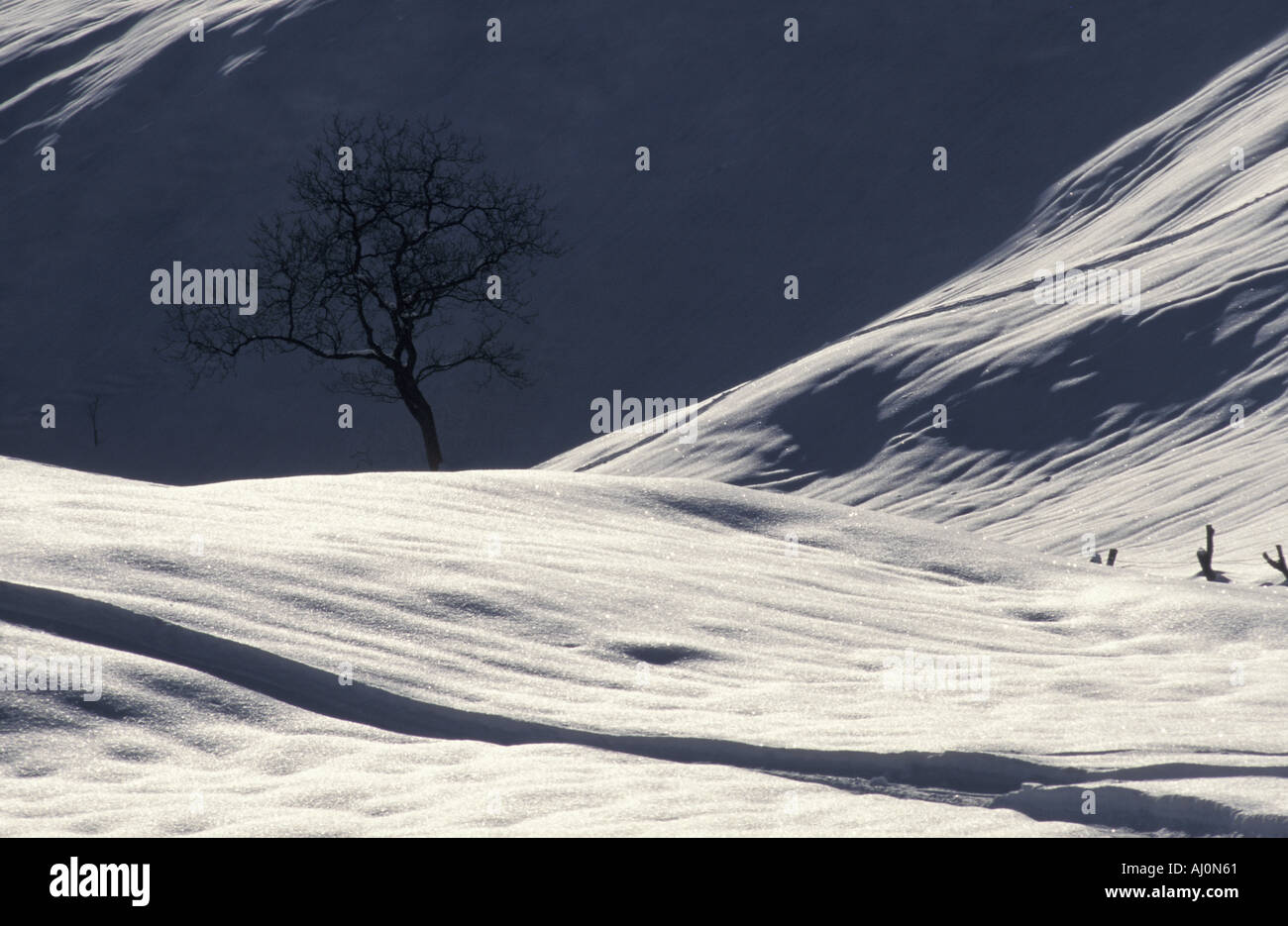 Piani di nava hi-res stock photography and images - Alamy