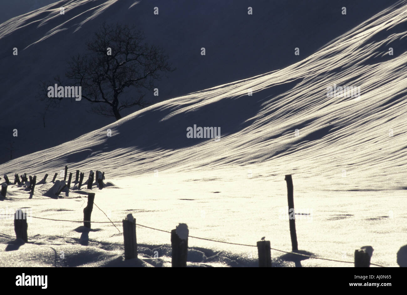 Snawfall hi-res stock photography and images - Alamy
