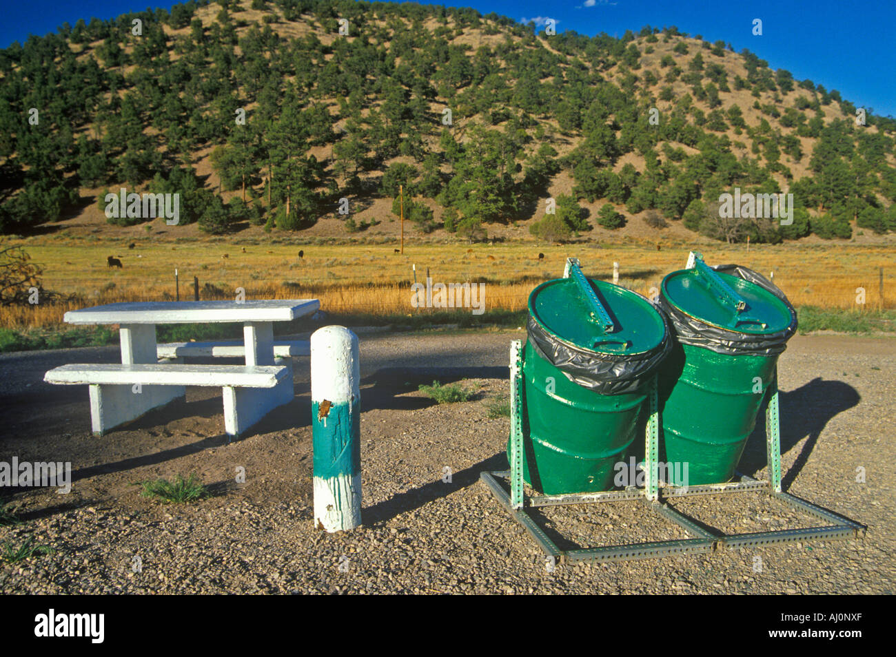 Picnic table with garbage cans at roadside rest area UT Stock Photo - Alamy
