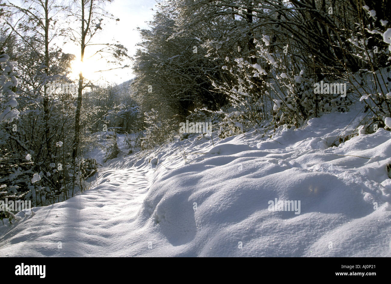 Snawfall hi-res stock photography and images - Alamy