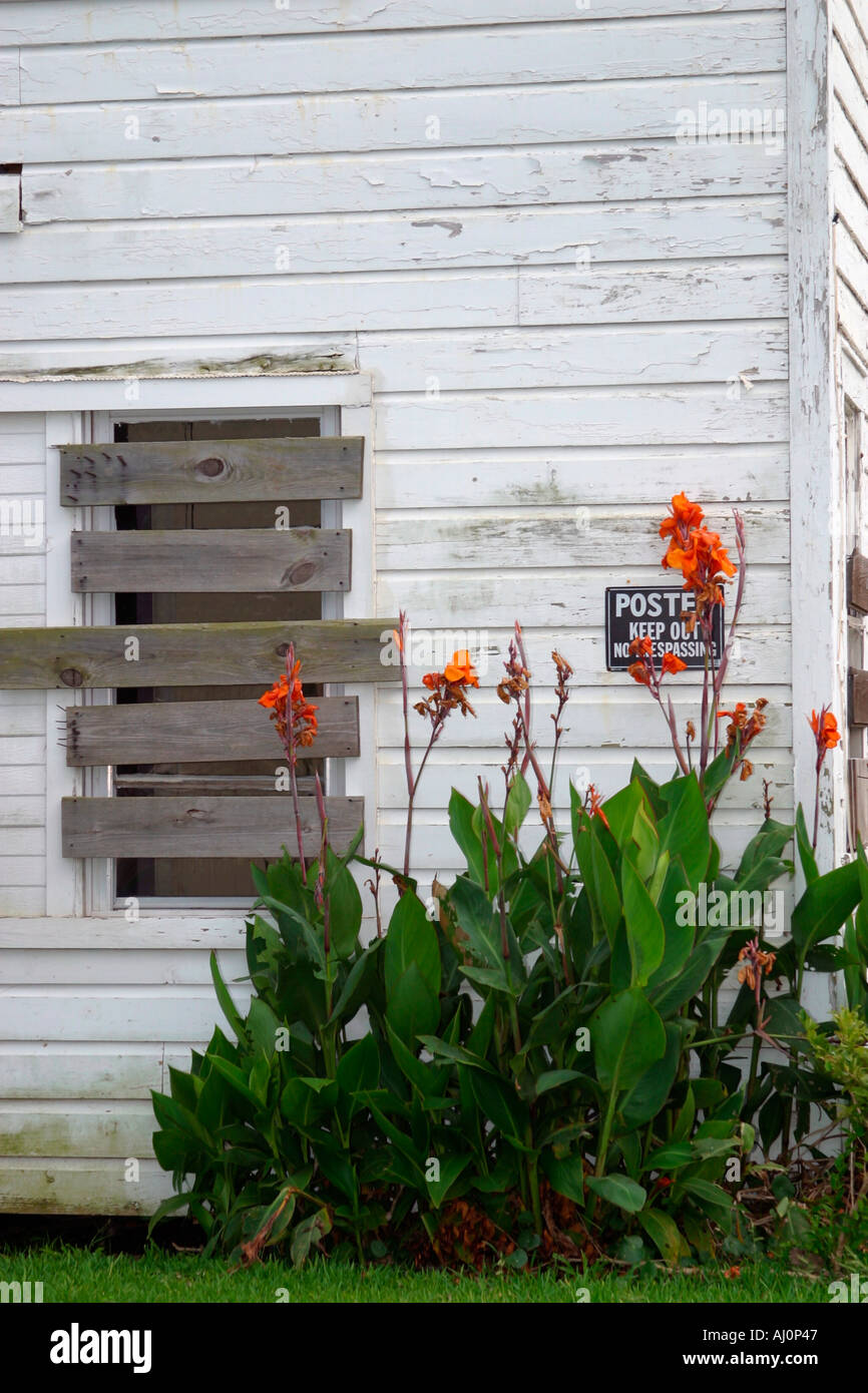 Old Abandon Dilapidated House Keep Out Sign Cannas Flower and Plant ...