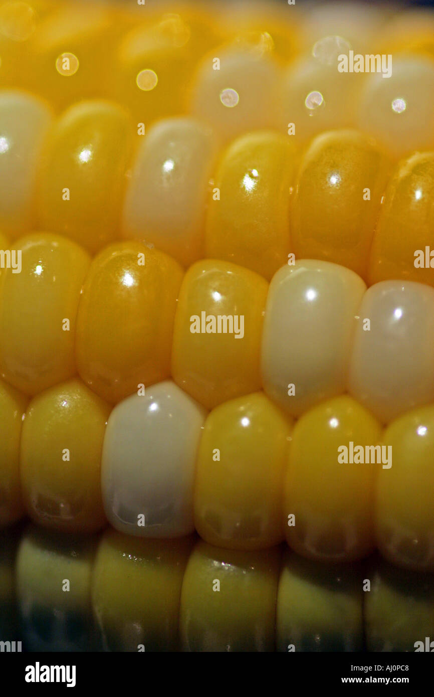 Upclose View of Corn On The Cob Kernels of Corn Stock Photo - Alamy