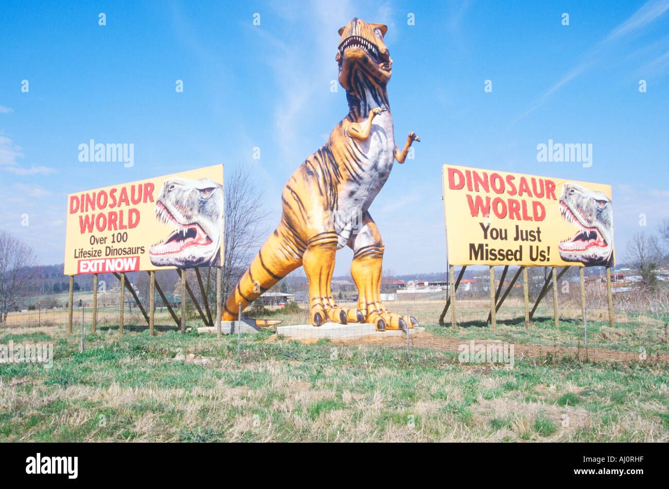 Meat eating dinosaur hi-res stock photography and images - Alamy