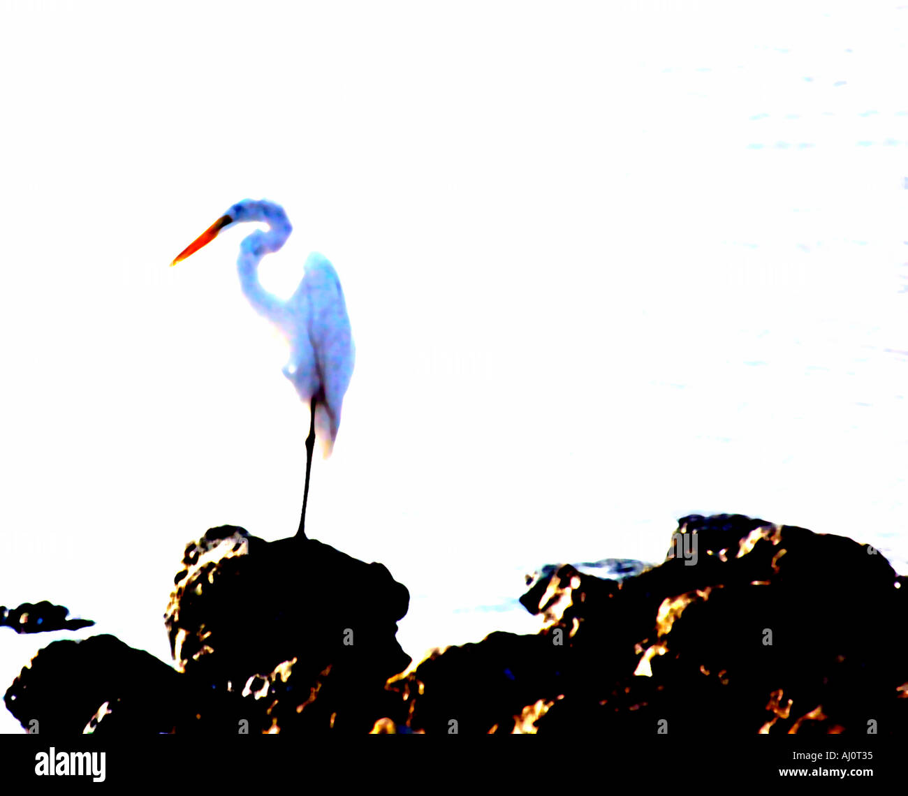 Egret painting hi-res stock photography and images - Alamy