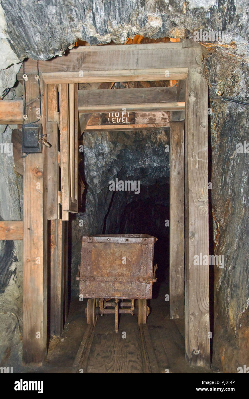 Gold Bug High Resolution Stock Photography and Images - Alamy