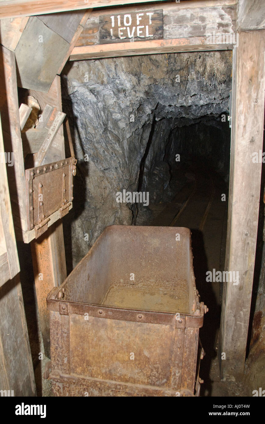 Gold Bug High Resolution Stock Photography and Images - Alamy