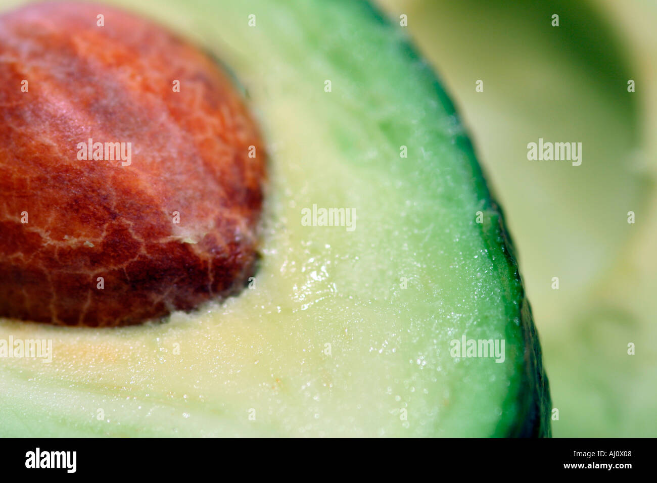 Up Close View of The Fruit Avocado Fruit Has Giant Seed in Center and ...