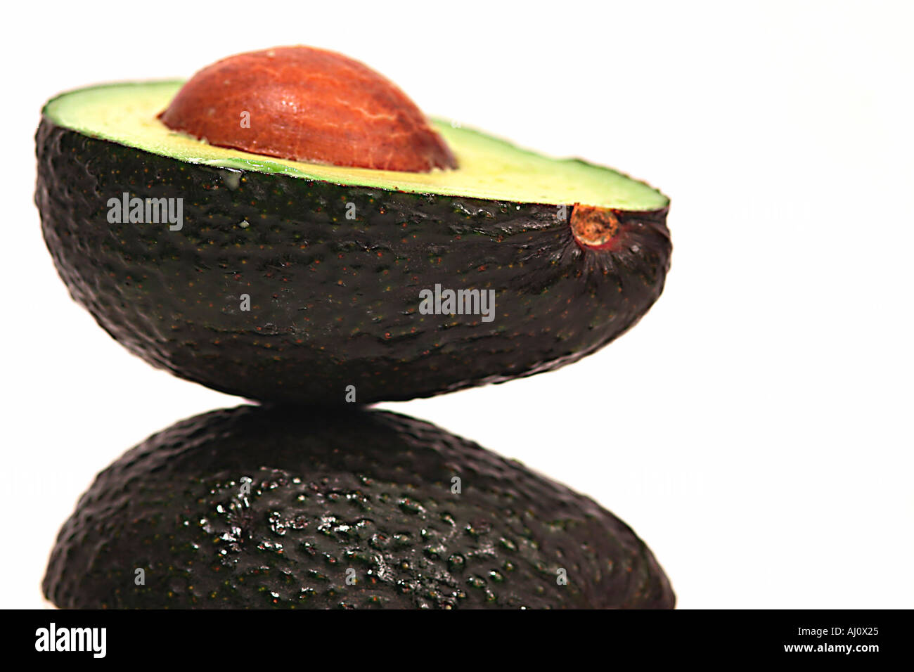 Fruit Contains A Seed