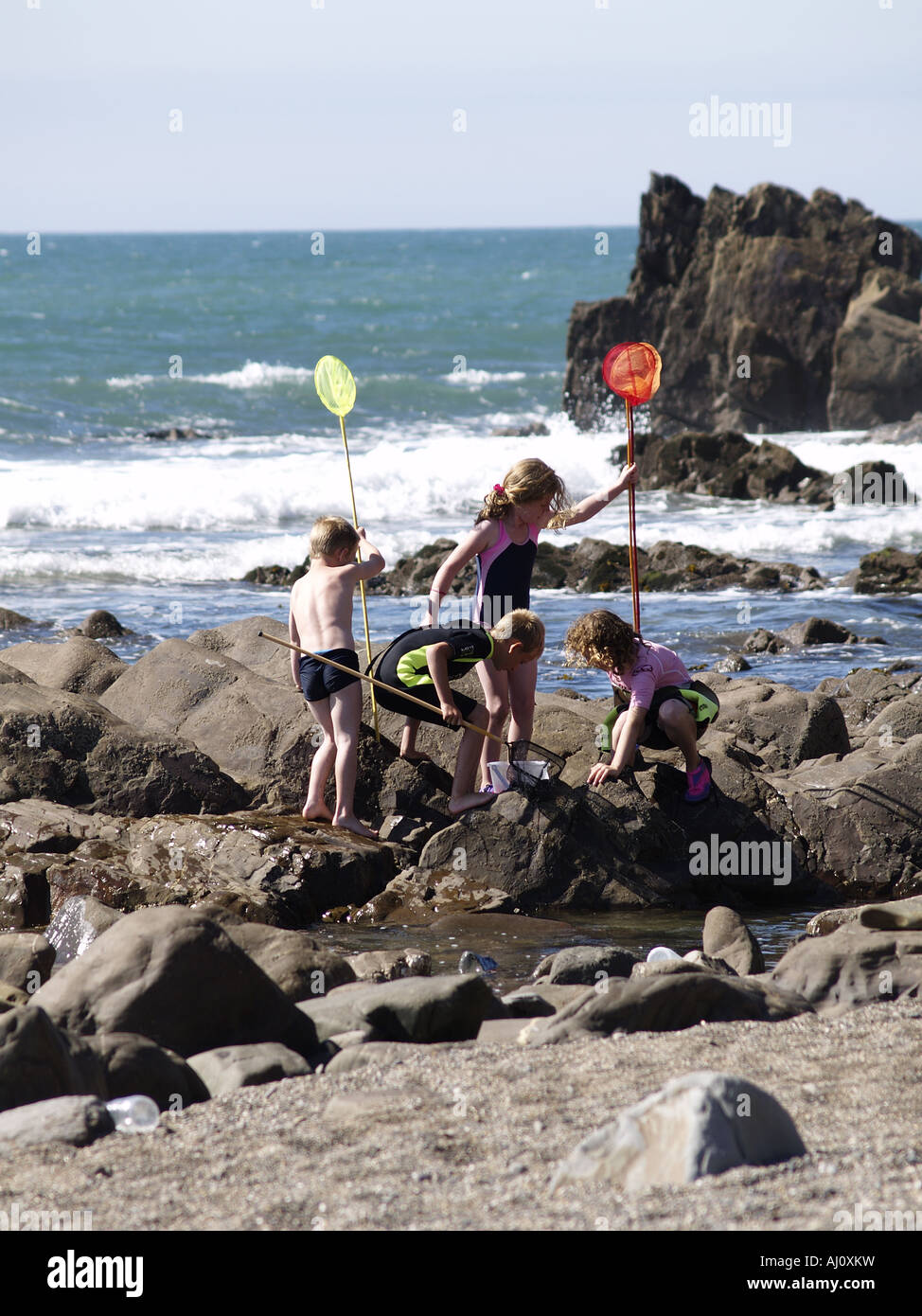 Searching Rock Pool High Resolution Stock Photography and Images - Alamy