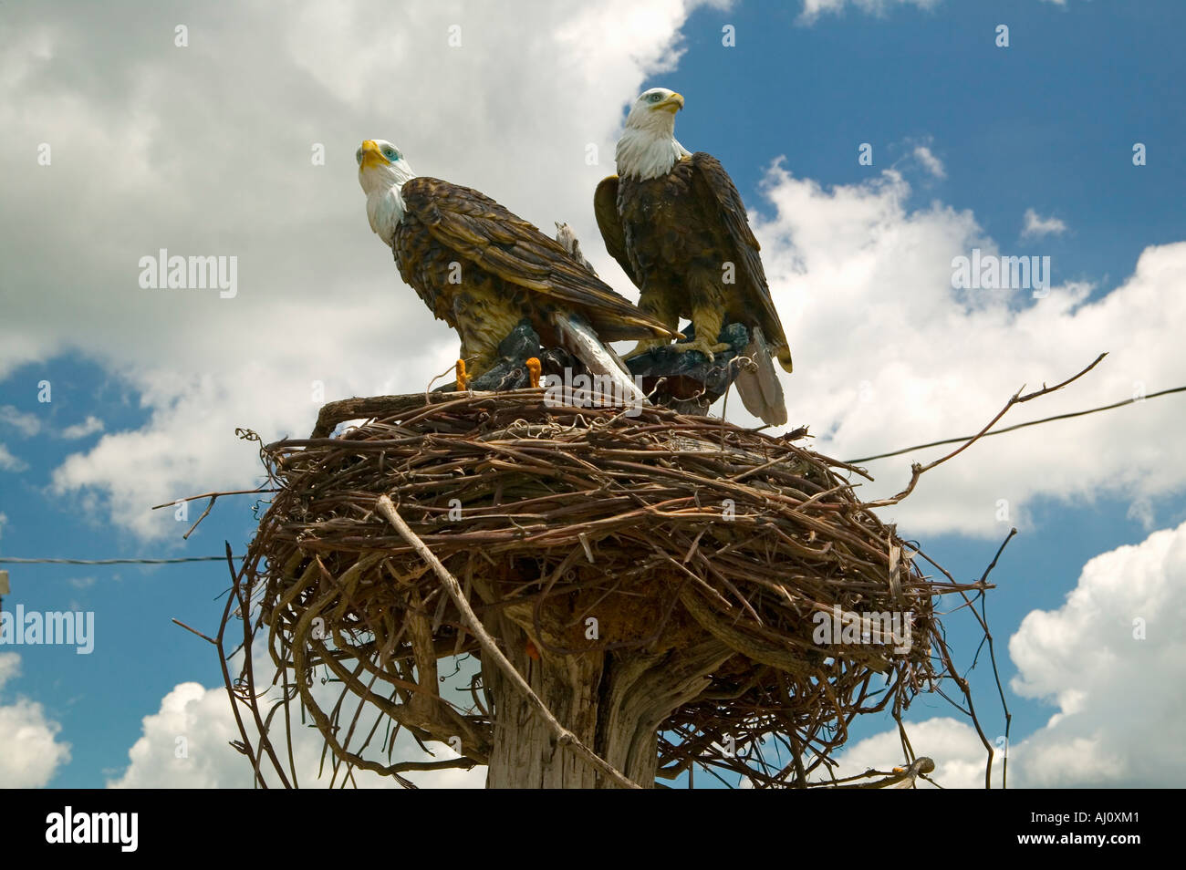 Two fake eagles and a nest on the roadside in rural Virginia Stock ...