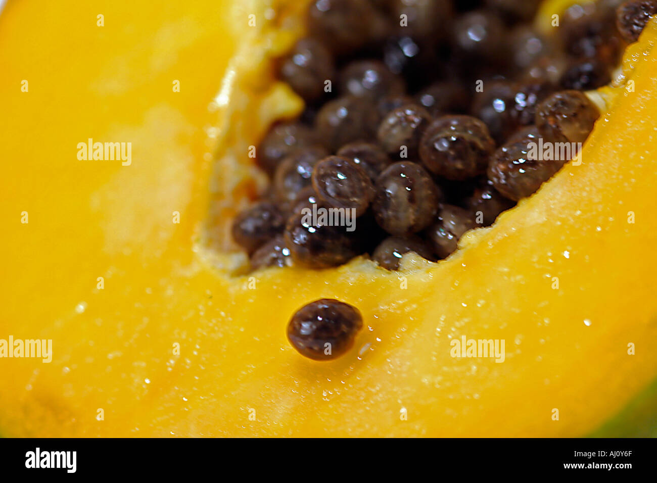 Tropical Fruits Gold Papaya Upclose view of juicy pulp and seeds Stock ...