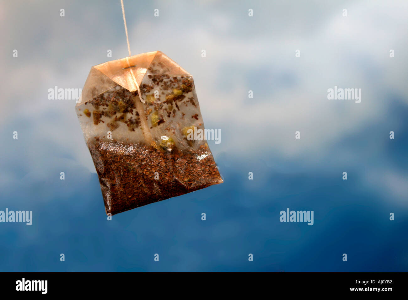 Used Tea Bag Hanging by the String in Mid Air Stock Photo - Alamy