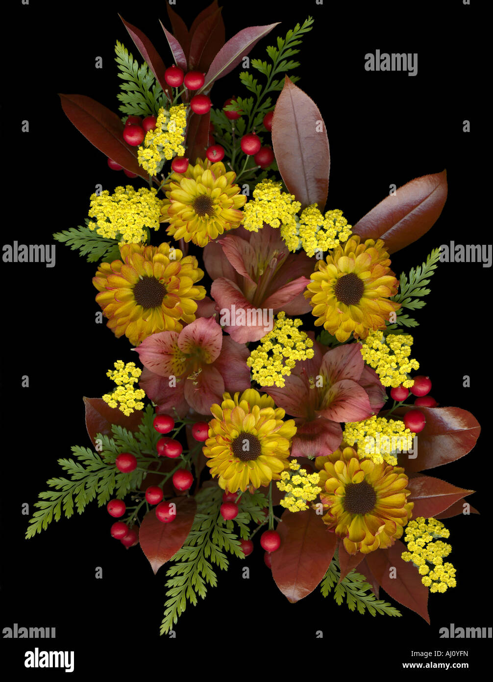 Scanography hi-res stock photography and images - Alamy