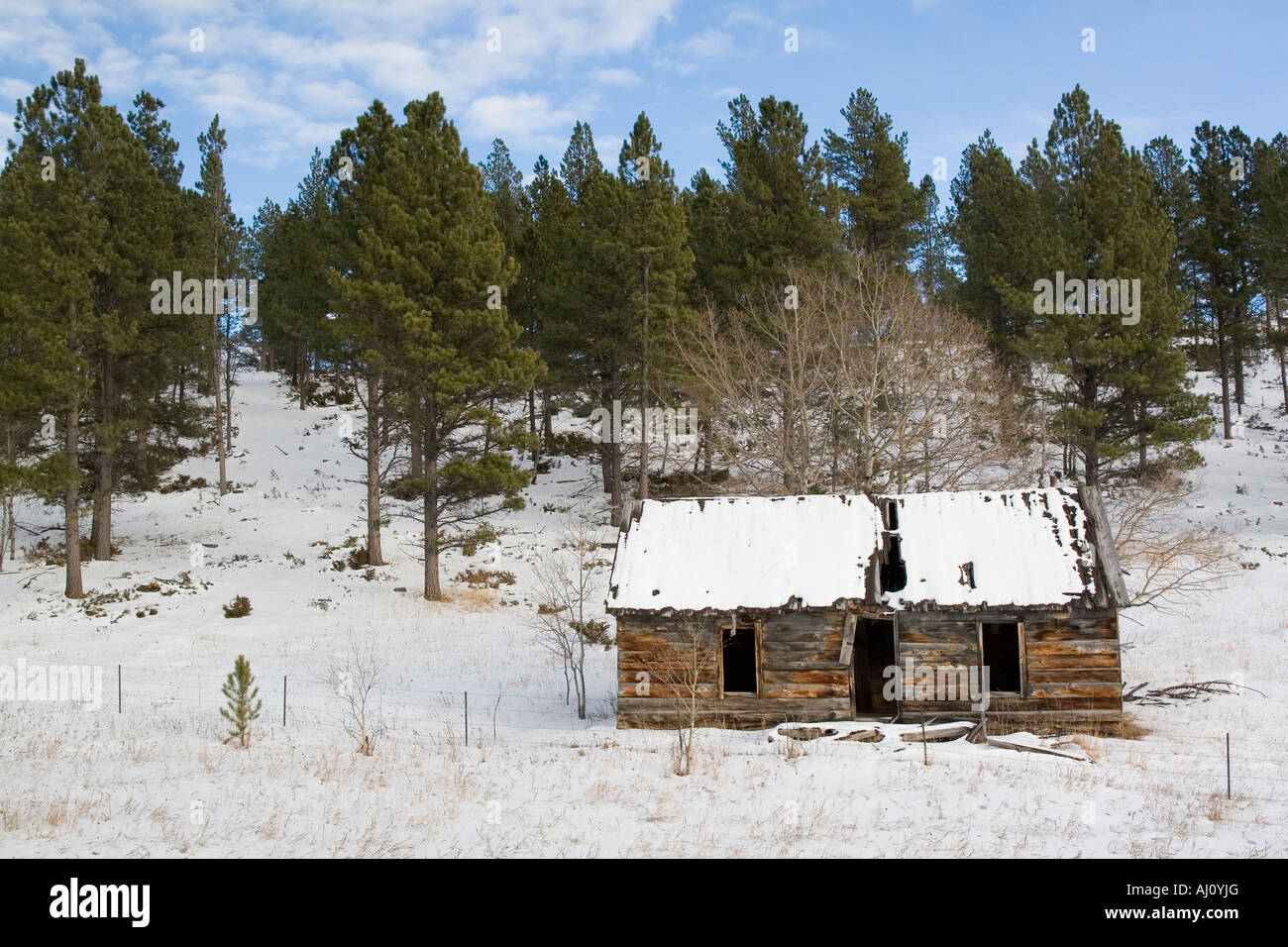 Barn in the in the snow on a cattle ranch in Northeast Wyoming WY USA ...