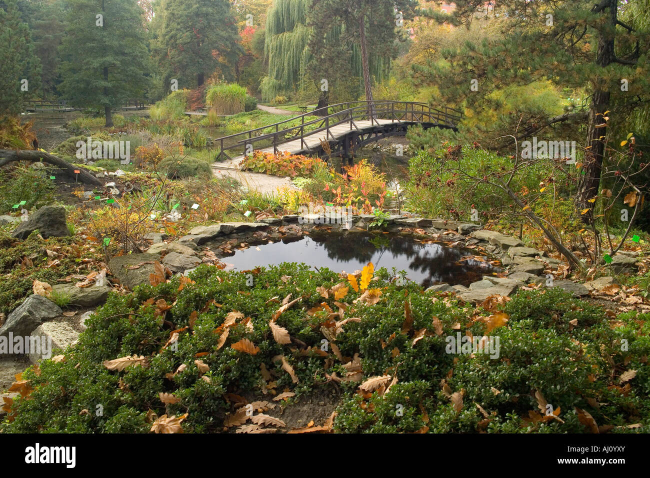 Botanical Garden in autumn Wroclaw Poland Stock Photo - Alamy