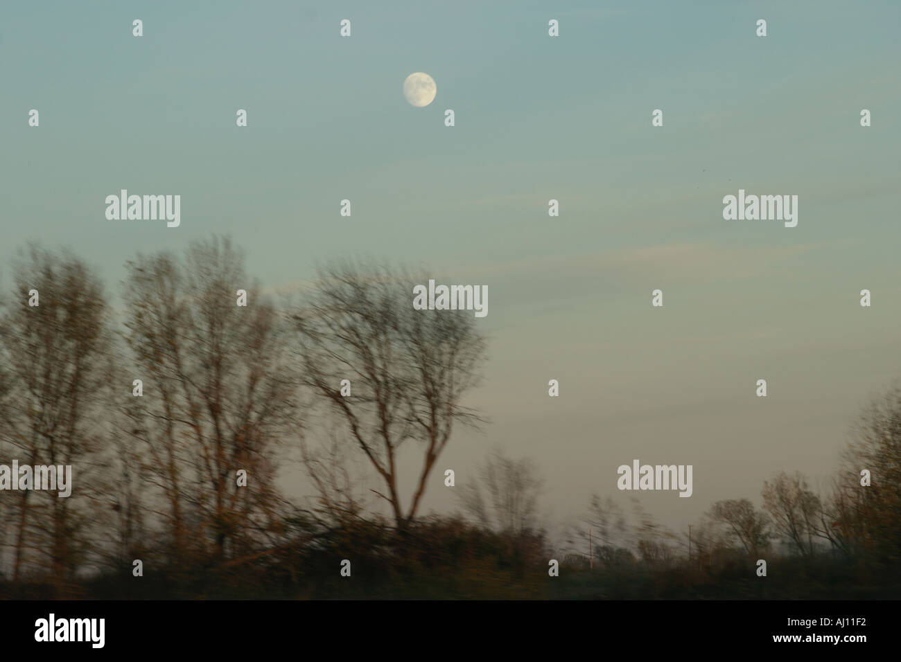 Moon Over Trees Stock Photo - Alamy